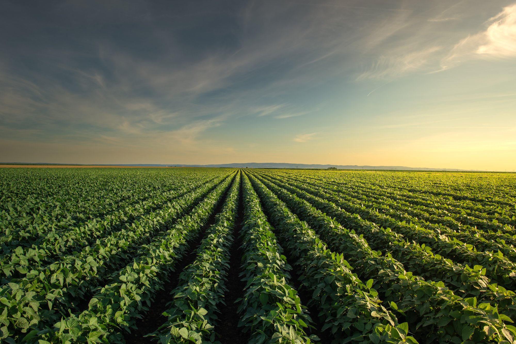 COMPO EXPERT - DATAGROUP