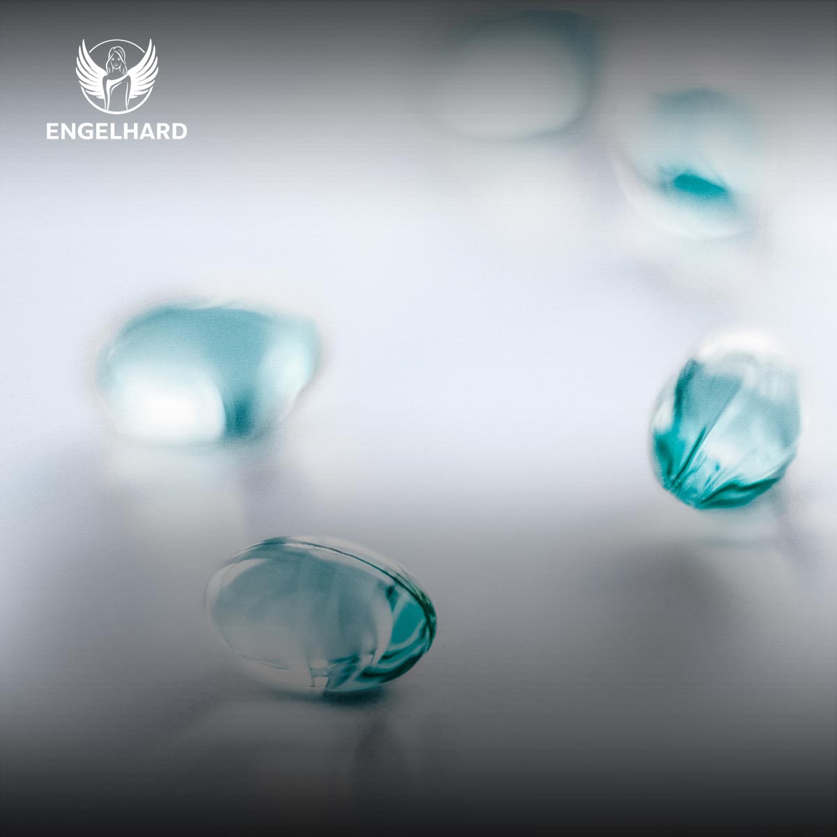 Engelhard - DATAGROUP