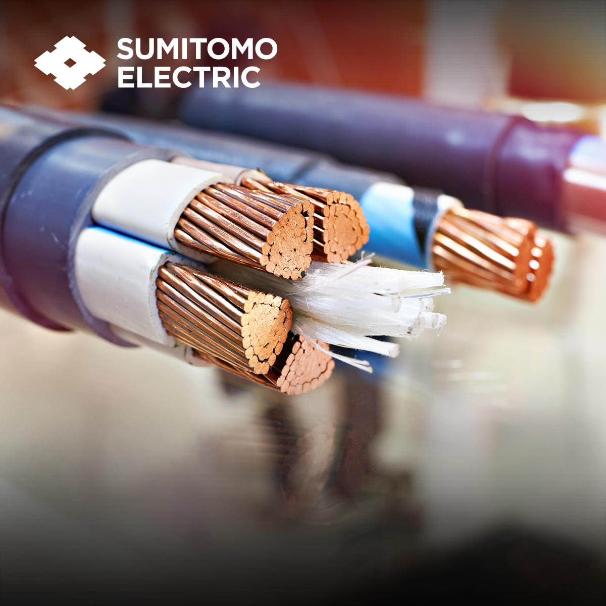 Sumitomo - DATAGROUP